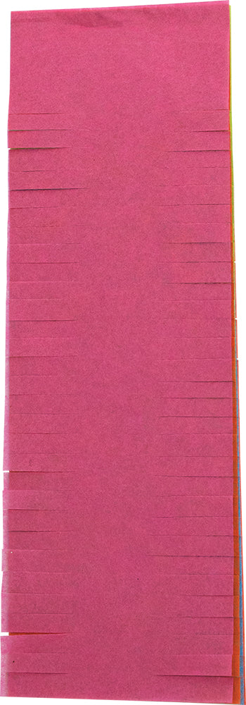 Bold & Bright Tissue Fringe Ribbon – Wallace & Company